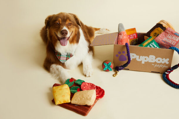 Introducing PupBox by FabFitFun - FabFitFun